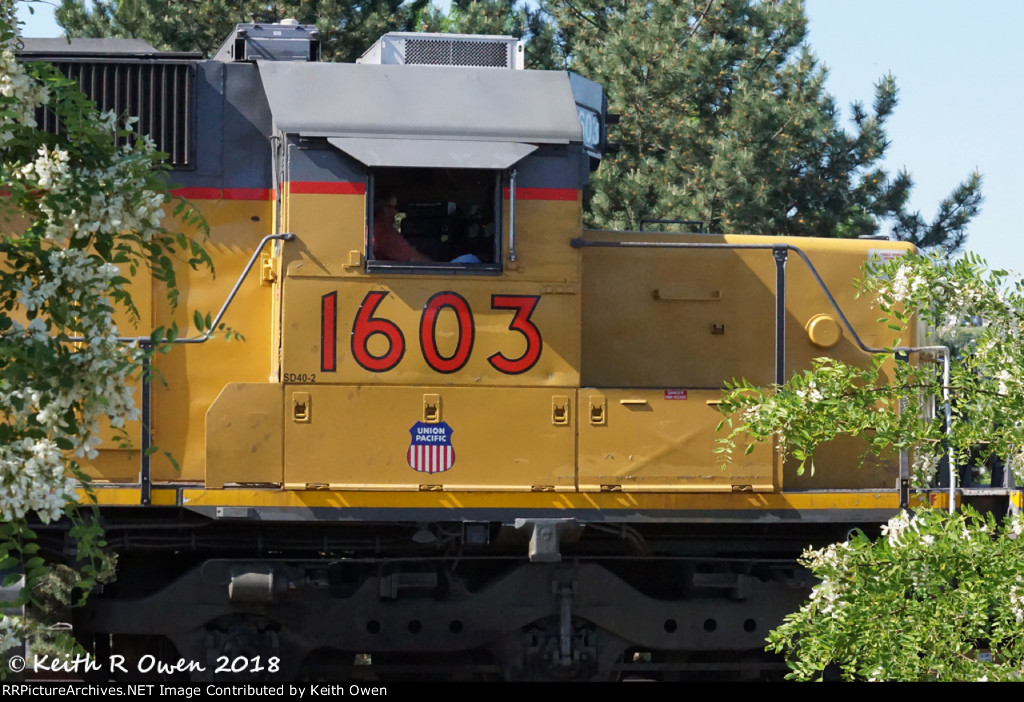 UP 1603